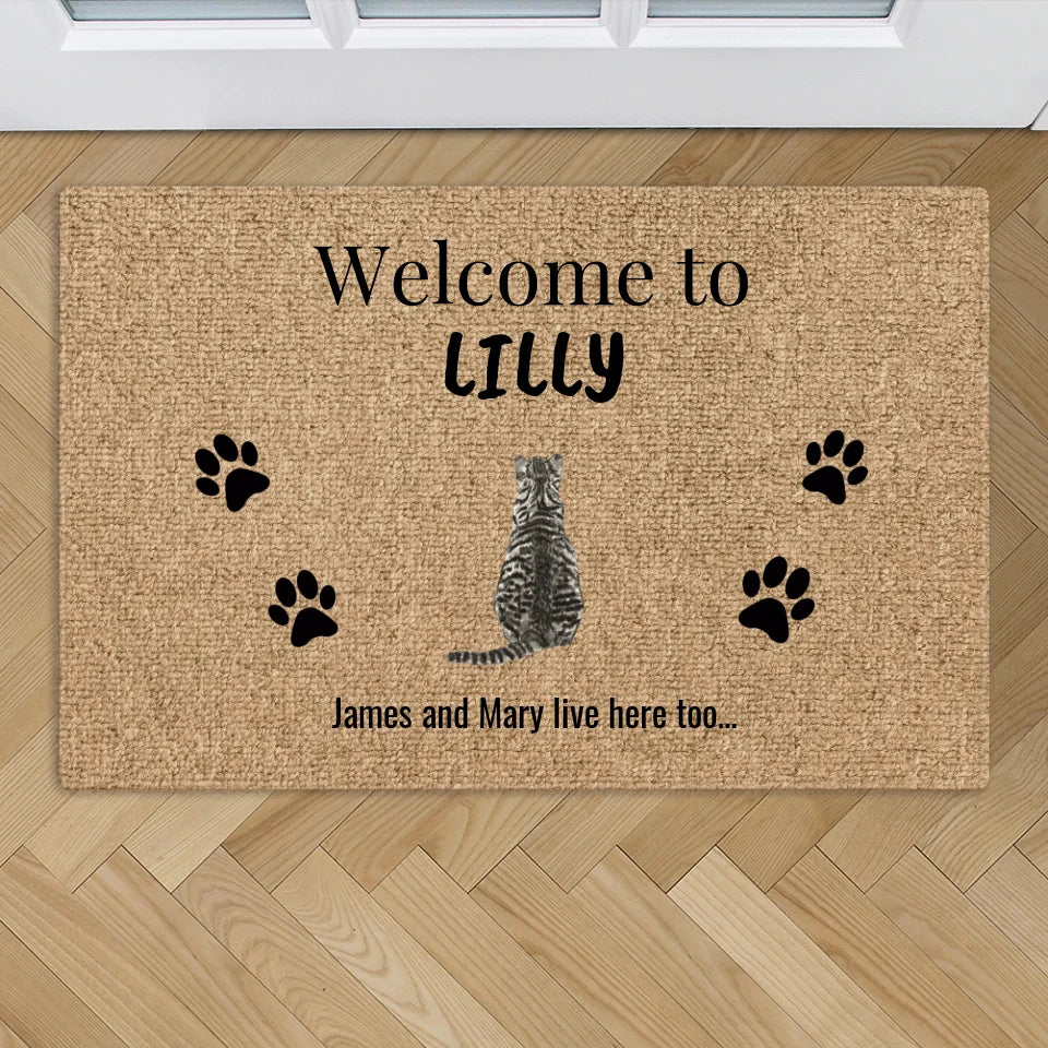Welcome to (cats) - Personalized Doormat – Pet Printed US