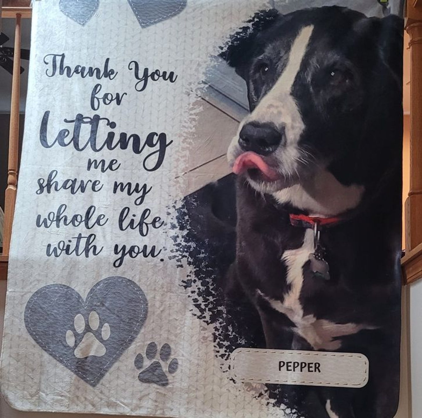Pet Printed – Unique gifts for all pet lovers – Pet Printed US